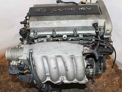 KIA SHUMA 1.5L BF IMPORT MOTOR ENGINE – SA Engines & Motor Parts Pty Ltd
